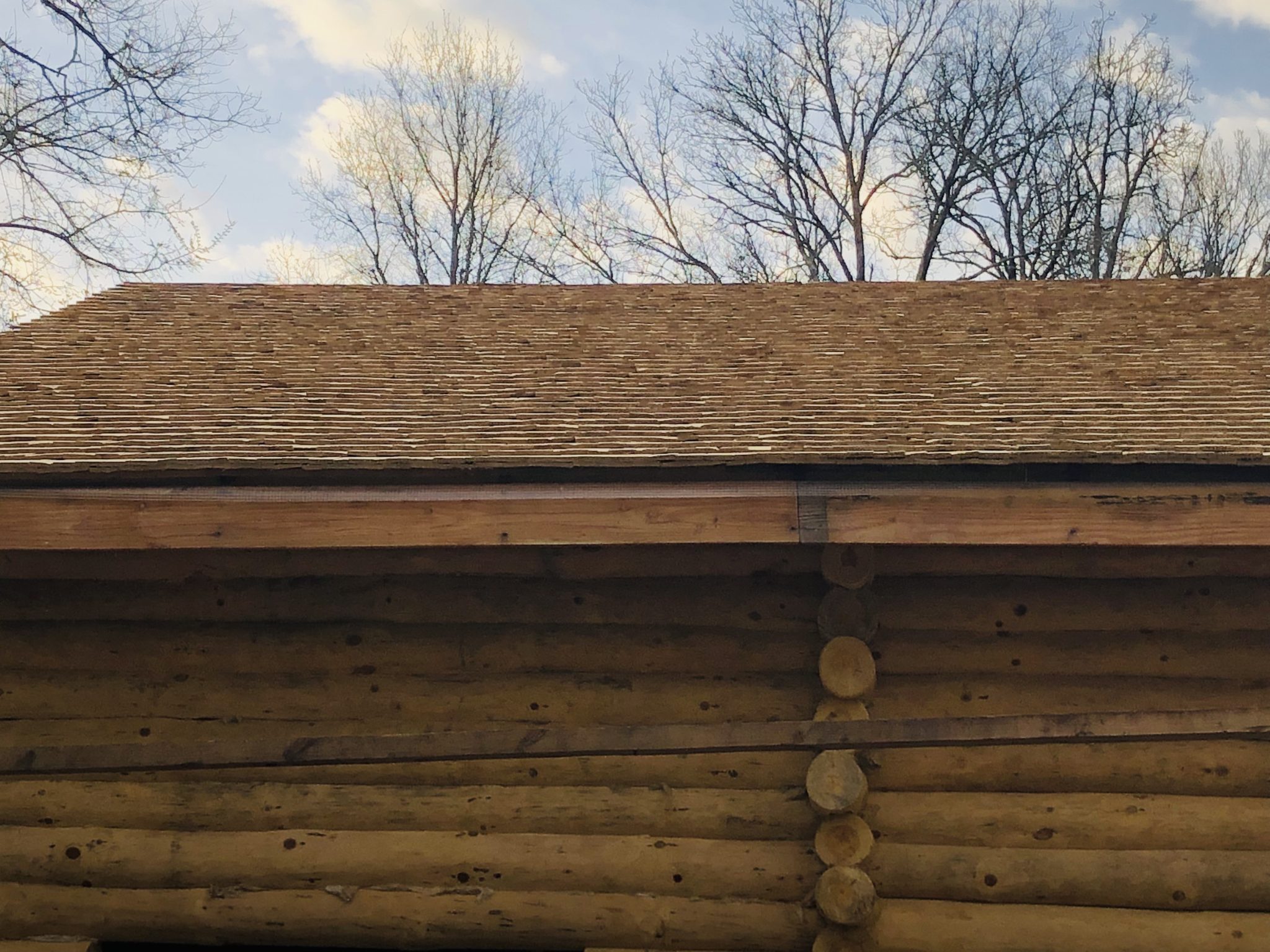 Bardeaux bois pour toiture et murs - Castordom